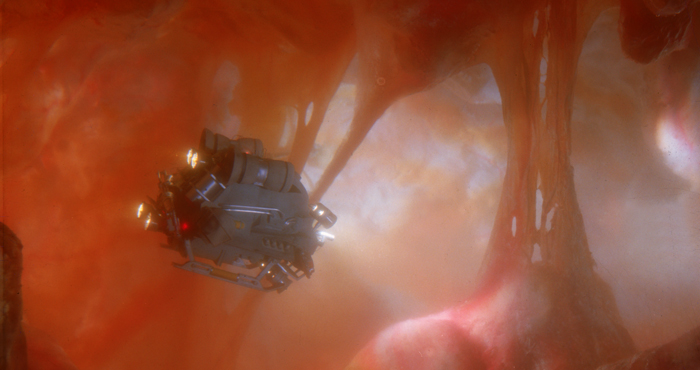 Innerspace EN – FEFFS